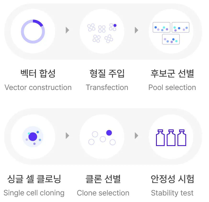 Master Cell Bank, 첫 단추를 끼우는 책임감
